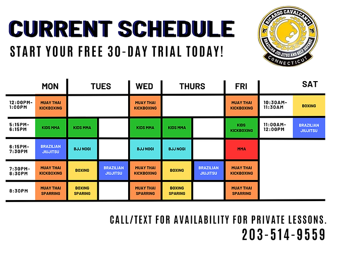 MMA Training Schedule of Classes | Performance Combat MMA