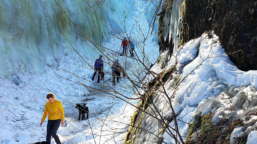 TEAM BUILDING | In Step Adventures