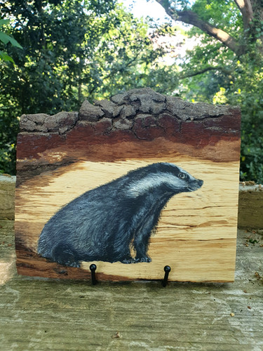 Bark oak wood badger | C.walsh.art wildwood artistry