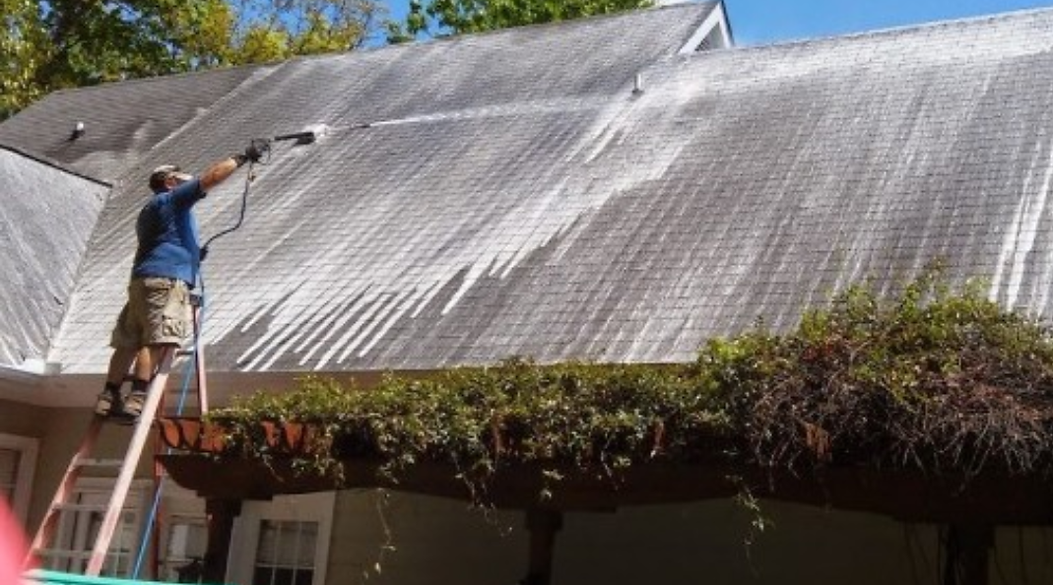 ONLY THE BEST ROOF SOFT WASHING | CLEAN 2 PRESERVE llc| FLORIDA
