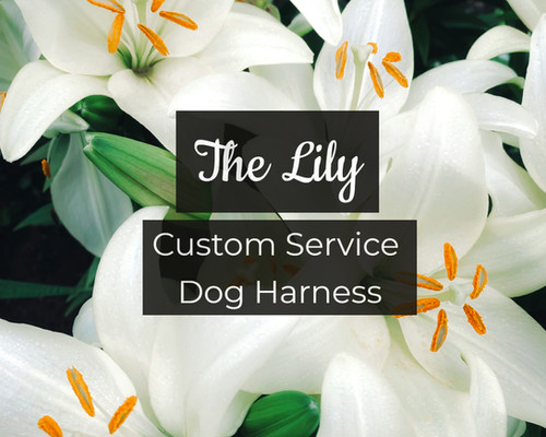 The Lily - Custom Service Dog Harness | Lily Dog Gear