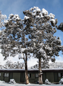 Home | Ski Rider Hotel