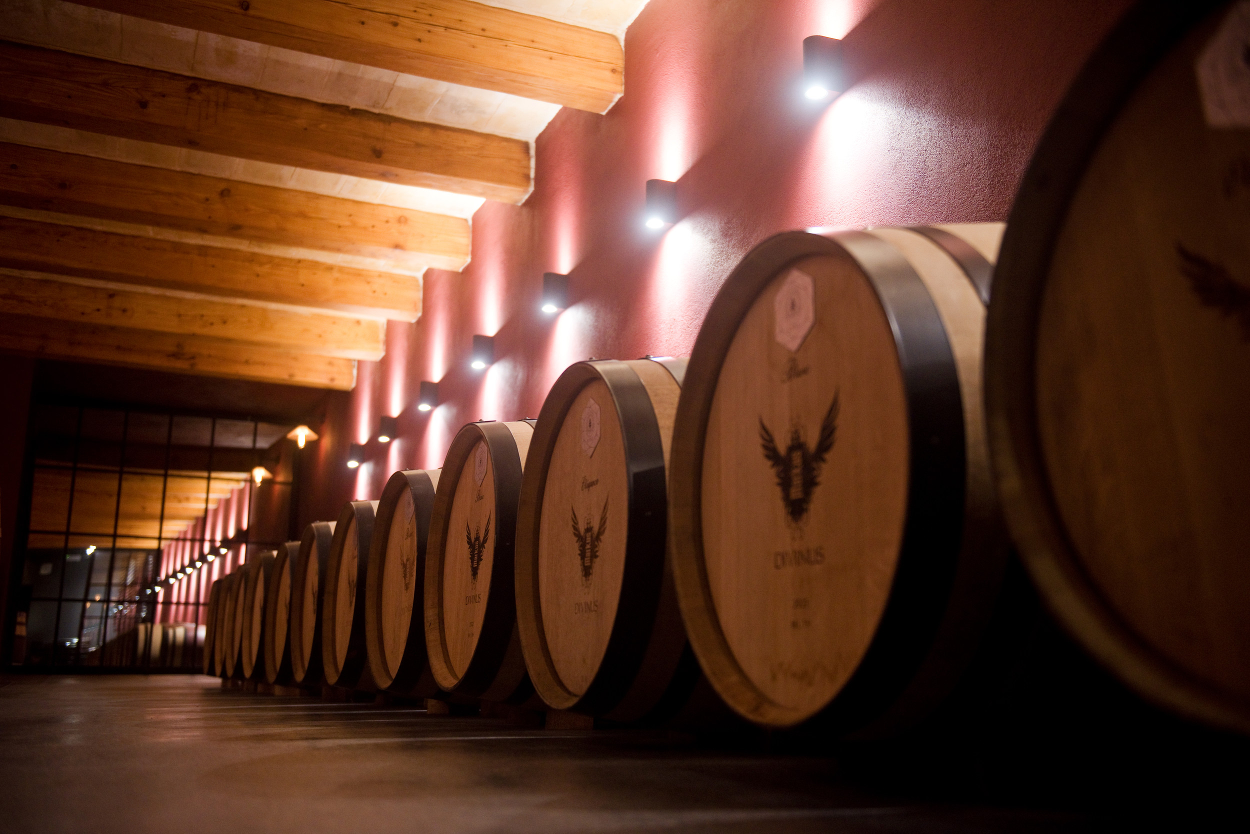 Markus Divinus | Boutique Winery