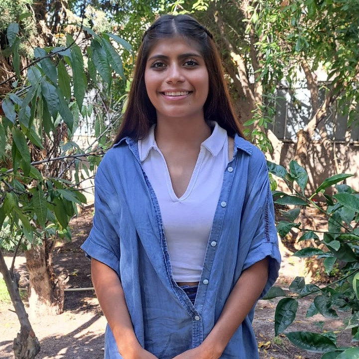 Fernanda's Testimony