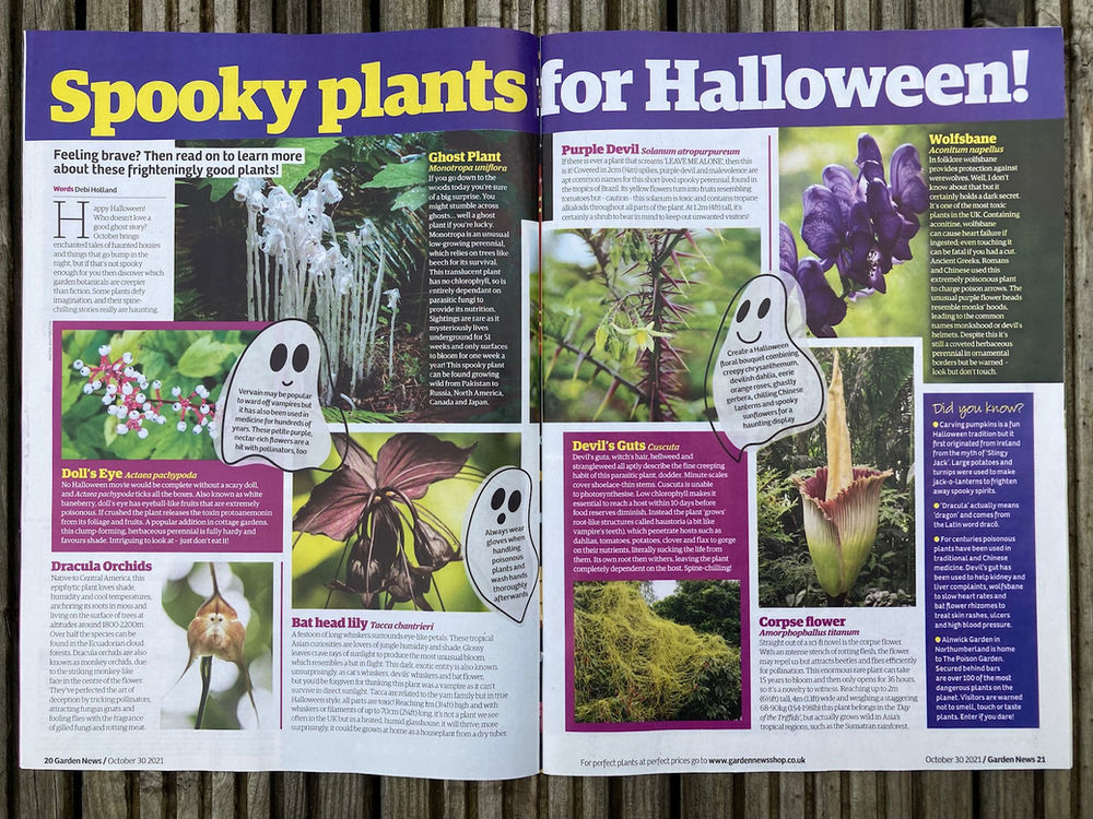 Spooky Plants for Halloween