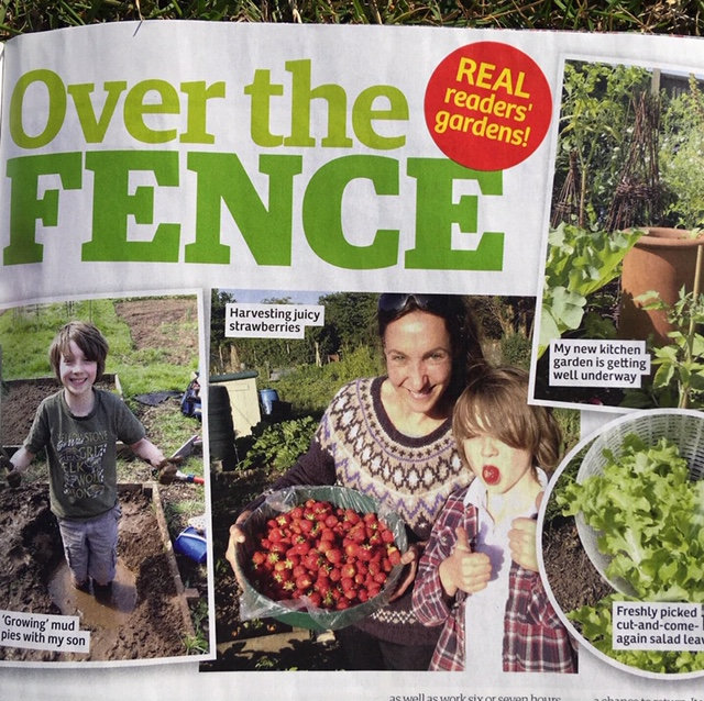 Garden News Magazine Allotment to Kitchen Garden