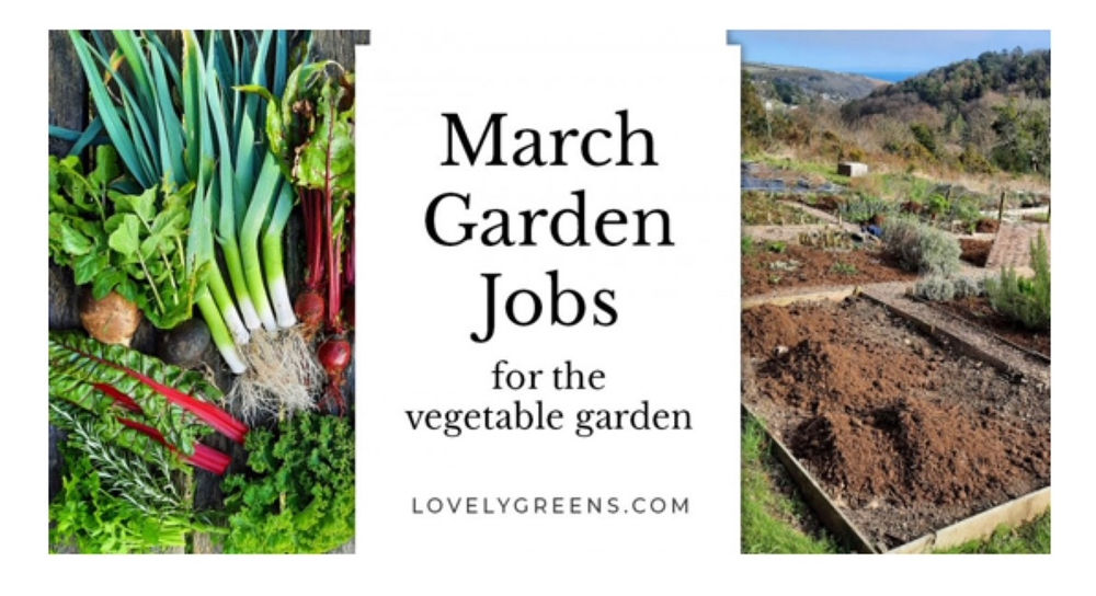March Garden Jobs for the Vegetable Garden