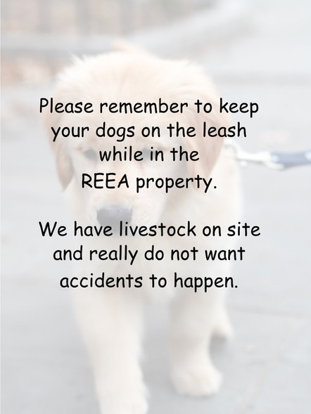 Secondhand Books | Reea Charity Bookshop | Gauteng