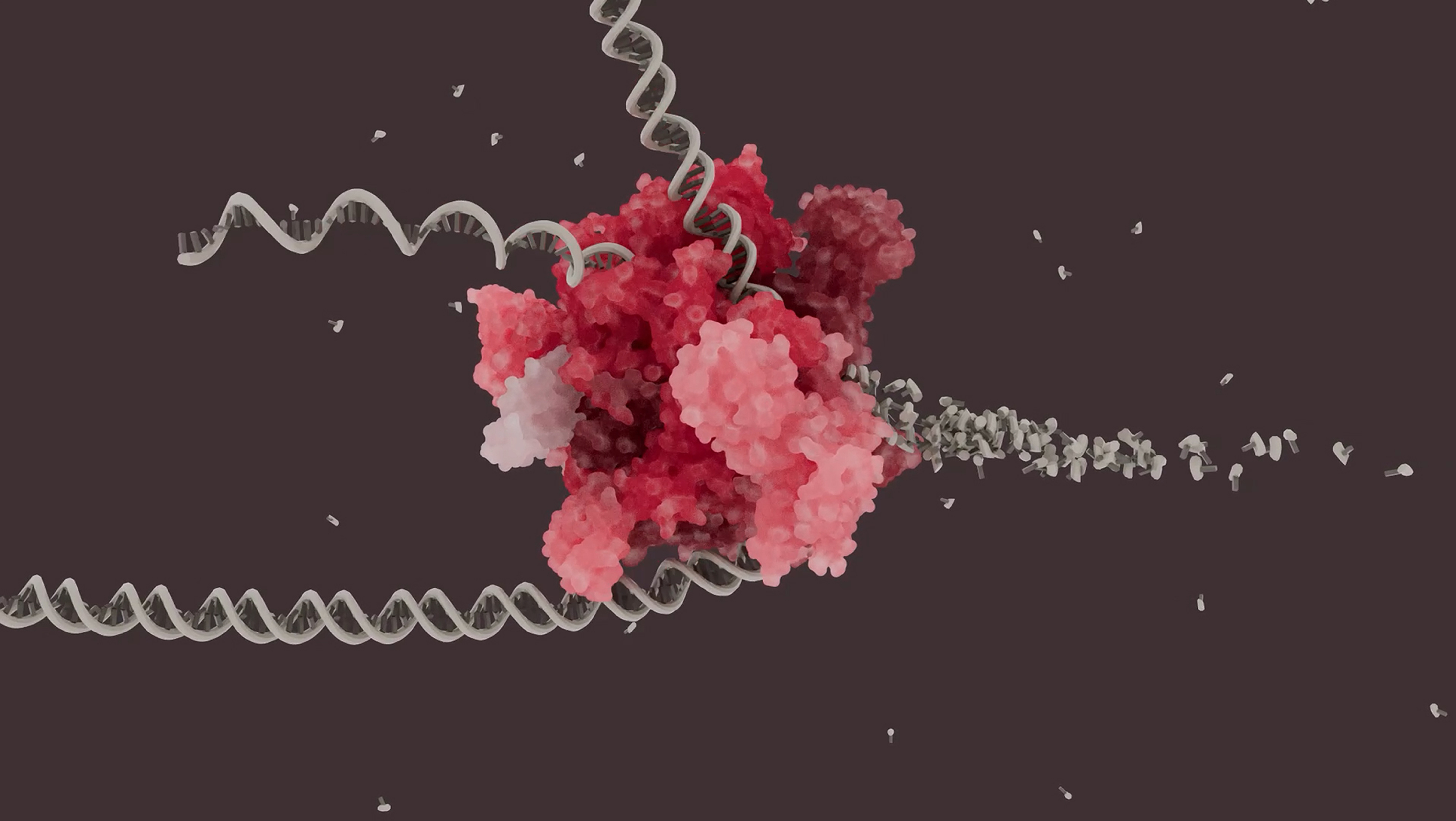 RIT Creativity Careers in Motion