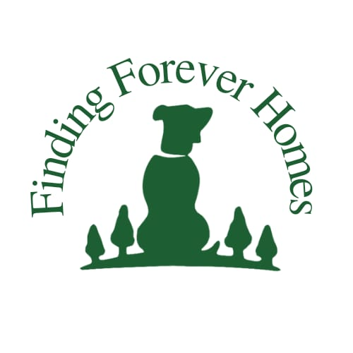 Shop | Finding Forever Home