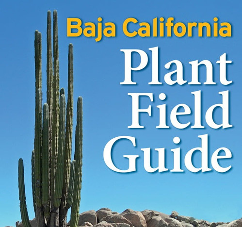 Baja California Plant Field Guide | Museocarem