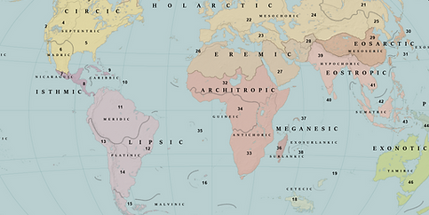 Feature Maps | Atlas Altera