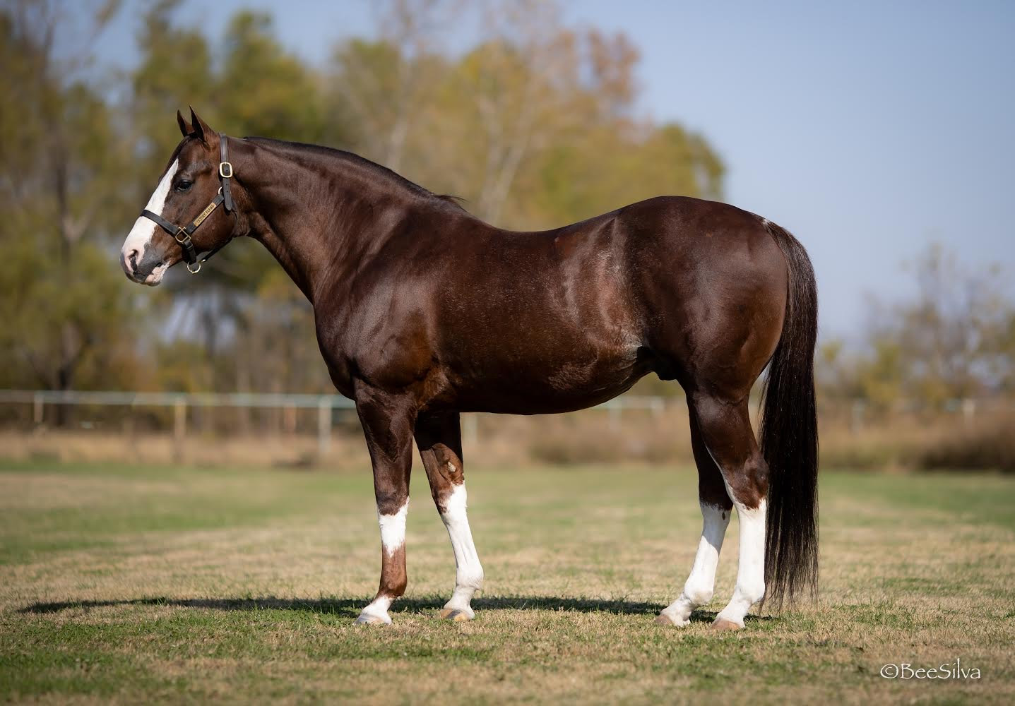 As Good As Nick Gets