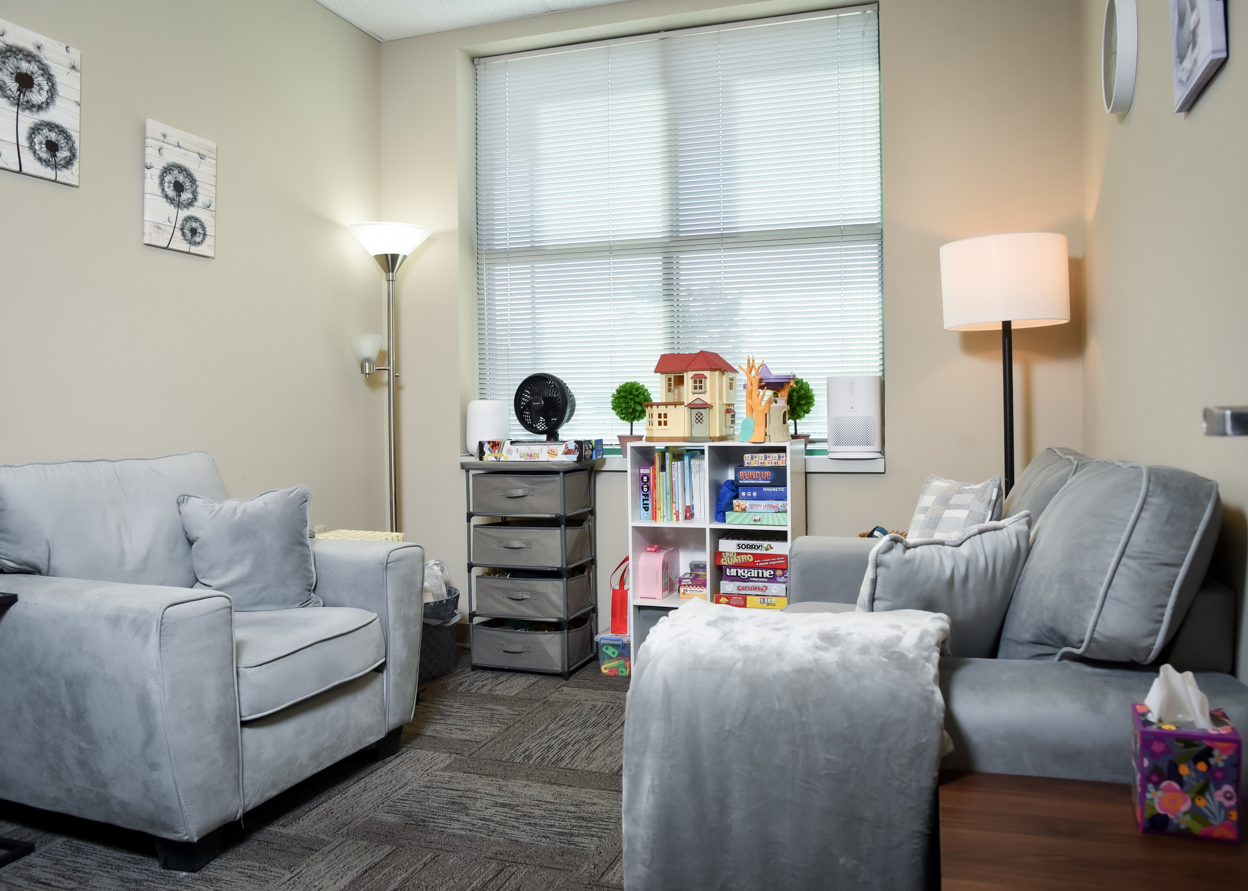 Our Services | Knapp Psychological