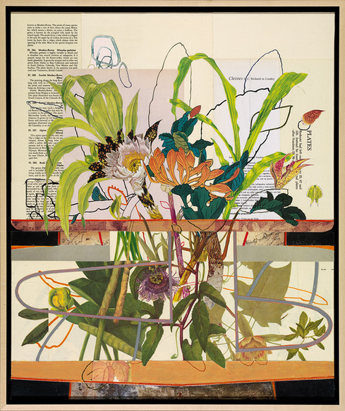 COLLAGE | francestmccormack