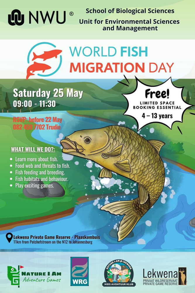 A Day Out with the Fishes - Potchefstroom's Fish Migration Day Unveiled ...