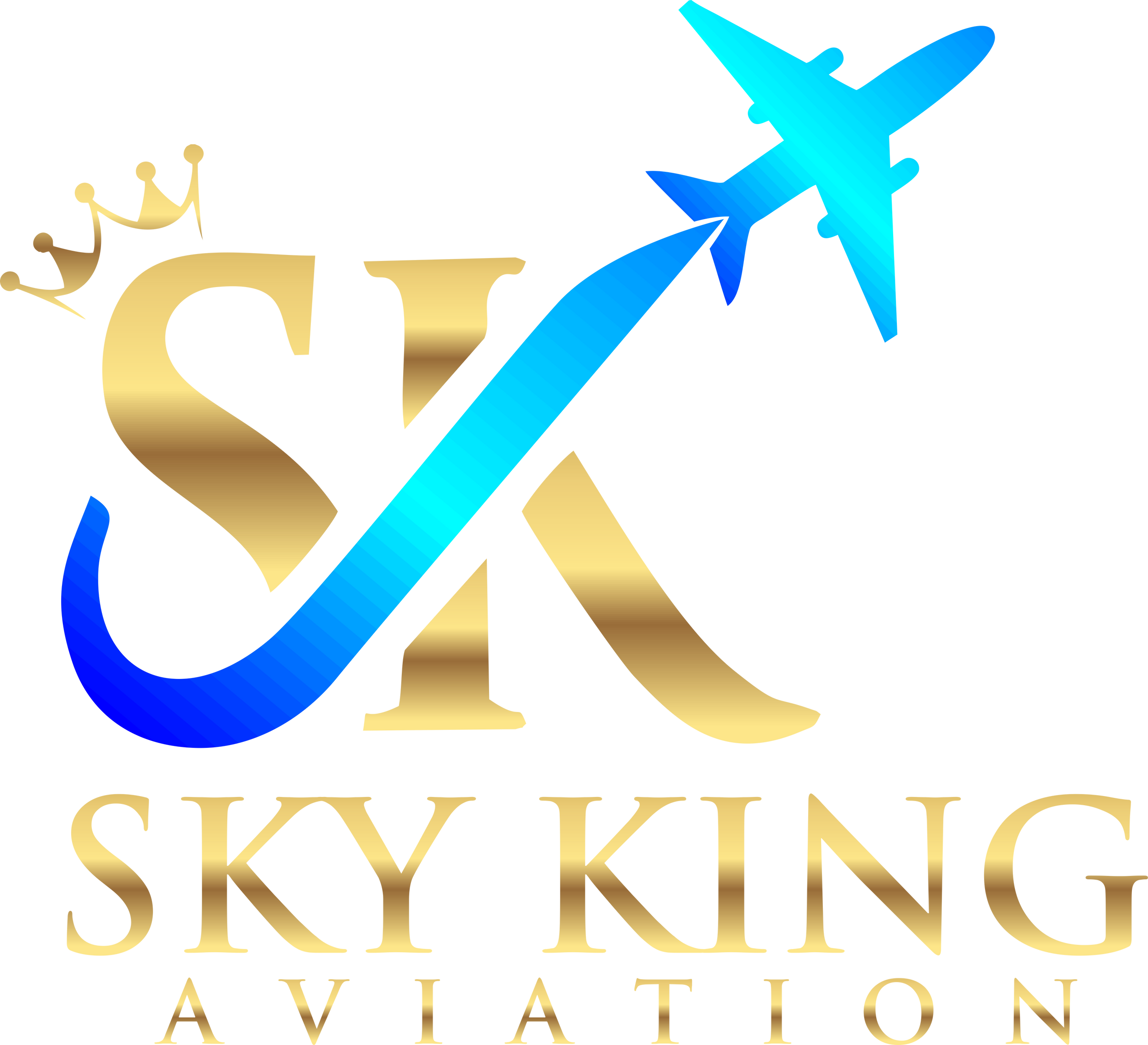 Sky King Aviation- Aircraft Paint, Interiors, and Sales