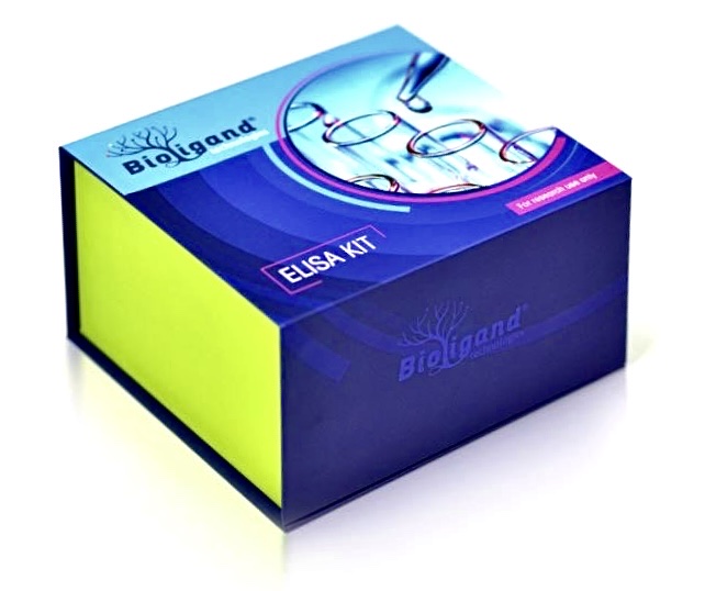 Medical Kit Rigid Boxes | Medical Device Packaging Boxes
