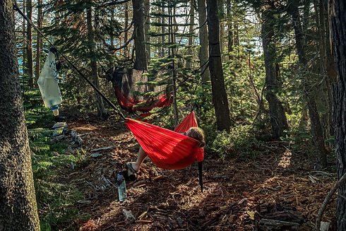 History of the Hammock | Camponion