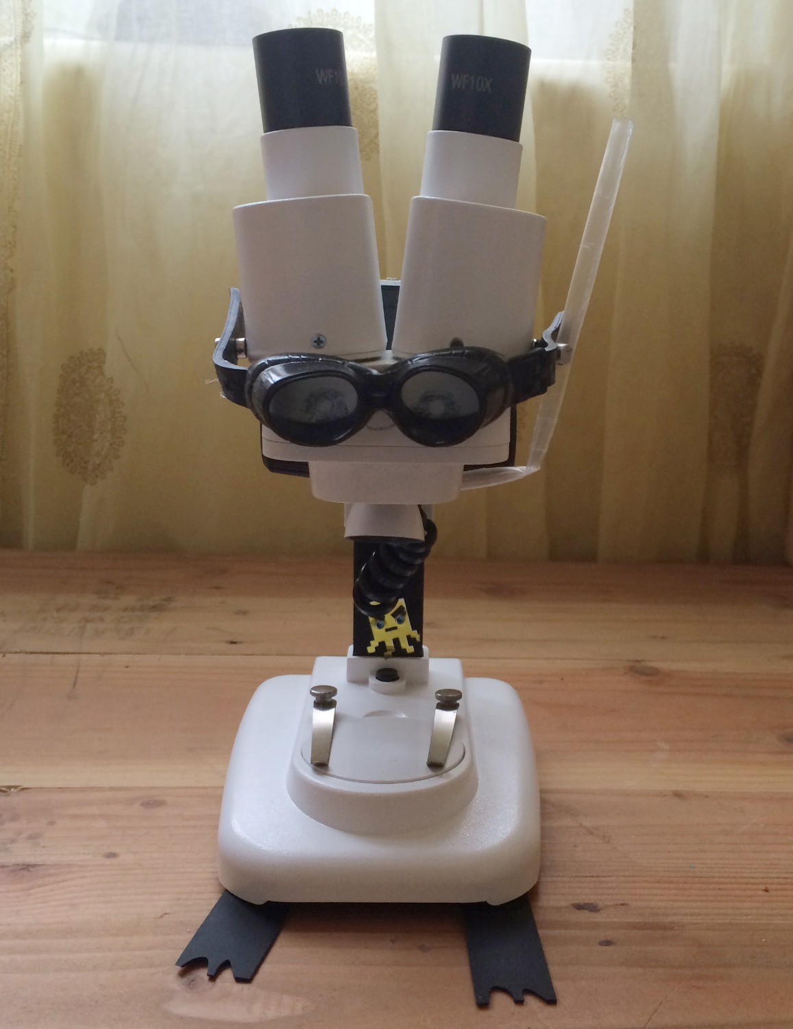 Meet the Microscope | stemtaught