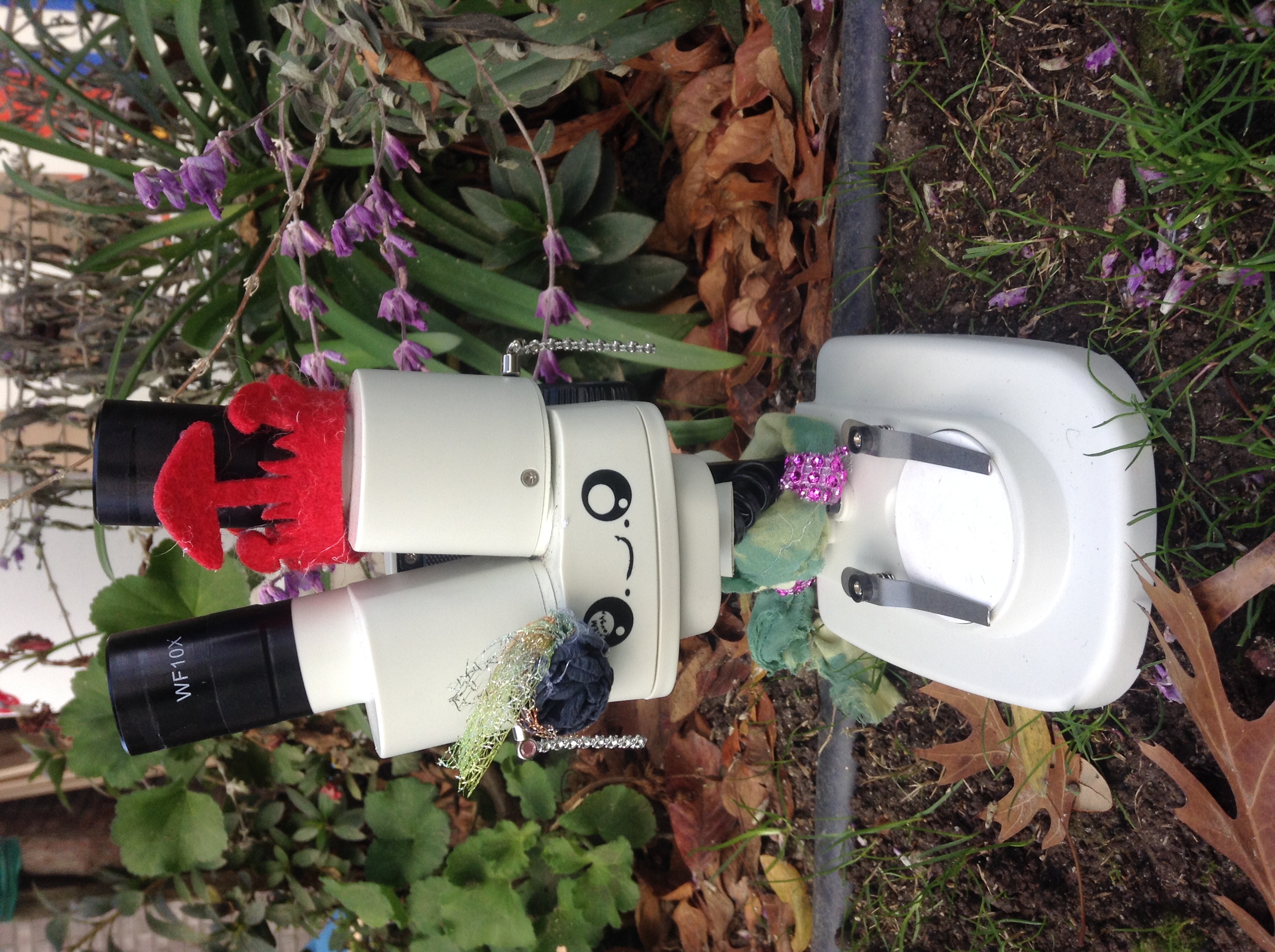 Meet the Microscope | stemtaught