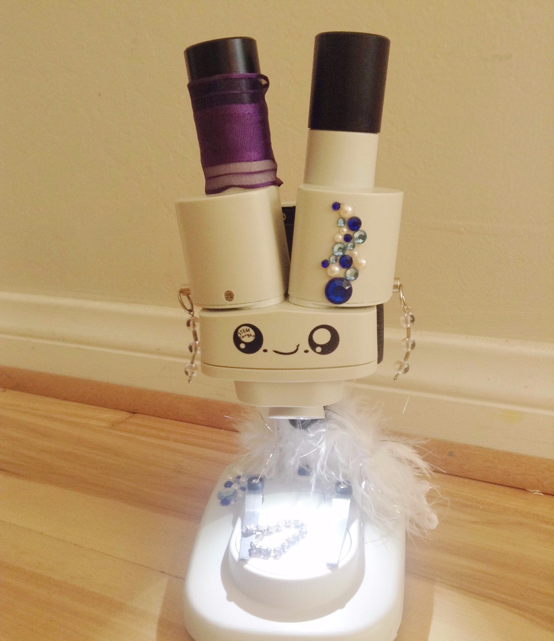 Meet the Microscope | stemtaught