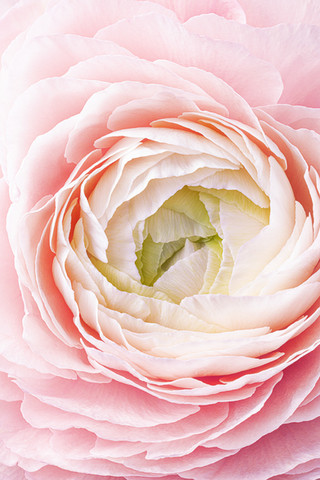 produit | Victor Bellot