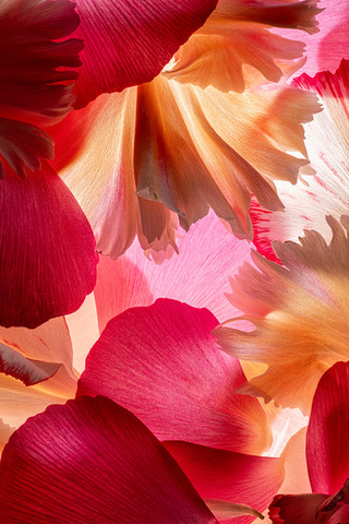 produit | Victor Bellot