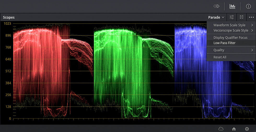 Advanced DaVinci Resolve Scopes: Hidden Settings, HDR Scopes and ...
