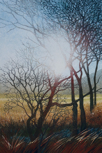 Silhouette | Oriel Ty Meirion