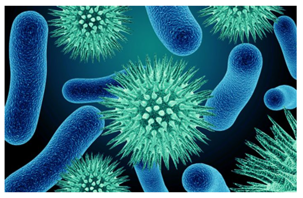 Some 'things' in the water