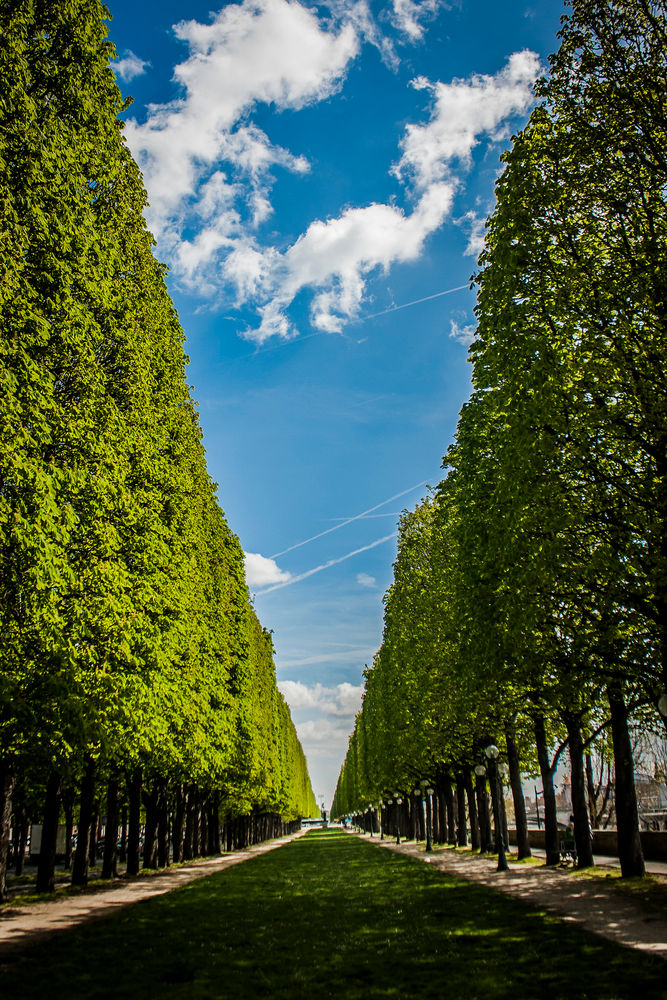 Perspectiva Lineal, una herramienta necesaria.