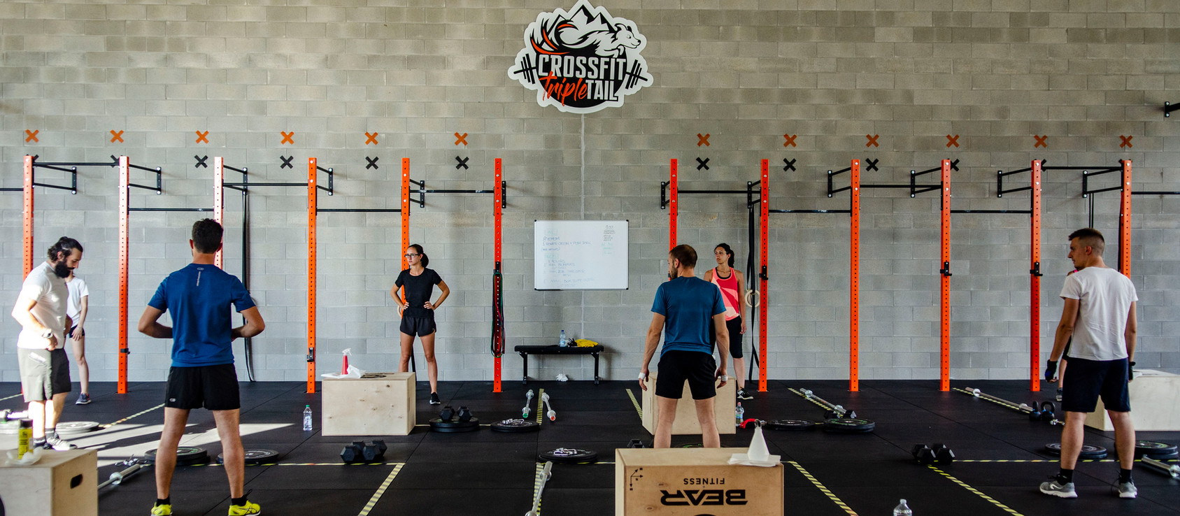 CROSSFIT TRIPLE TAIL - Molto più di una semplice palestra - Talamona