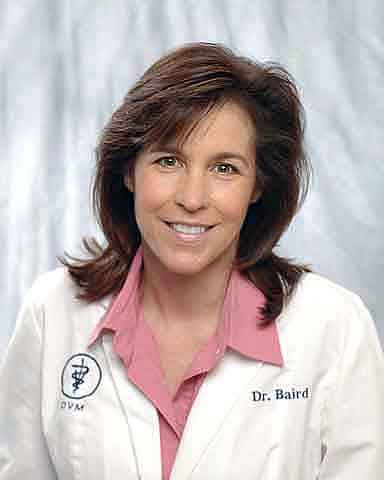 Dr. Elizabeth Baird | Country Oaks Animal Hospital