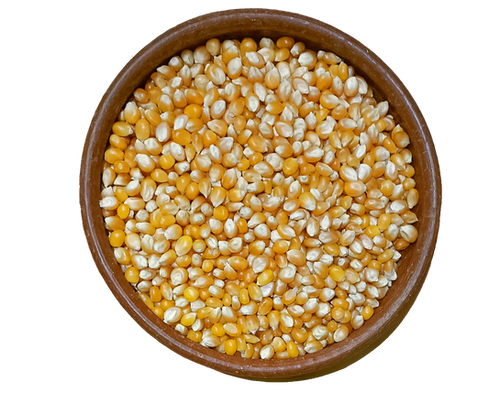 MAIZ CURAGUA 1 Kilo | Emporio del Queulat