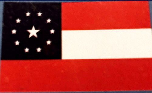 11 Star 1st National flag | Webster Confederate