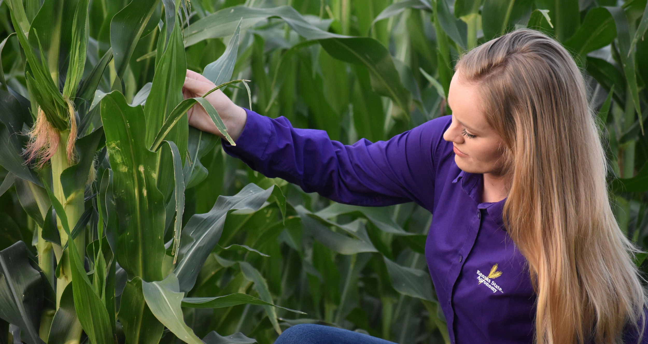 Corn Tillers 101 | The Tiller Queen