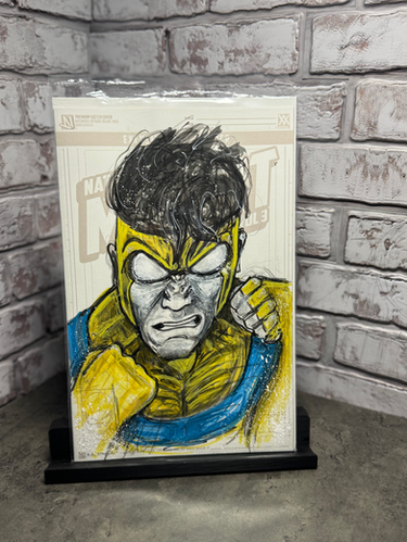 Invincible Original Sketch Cover | Nate Made It
