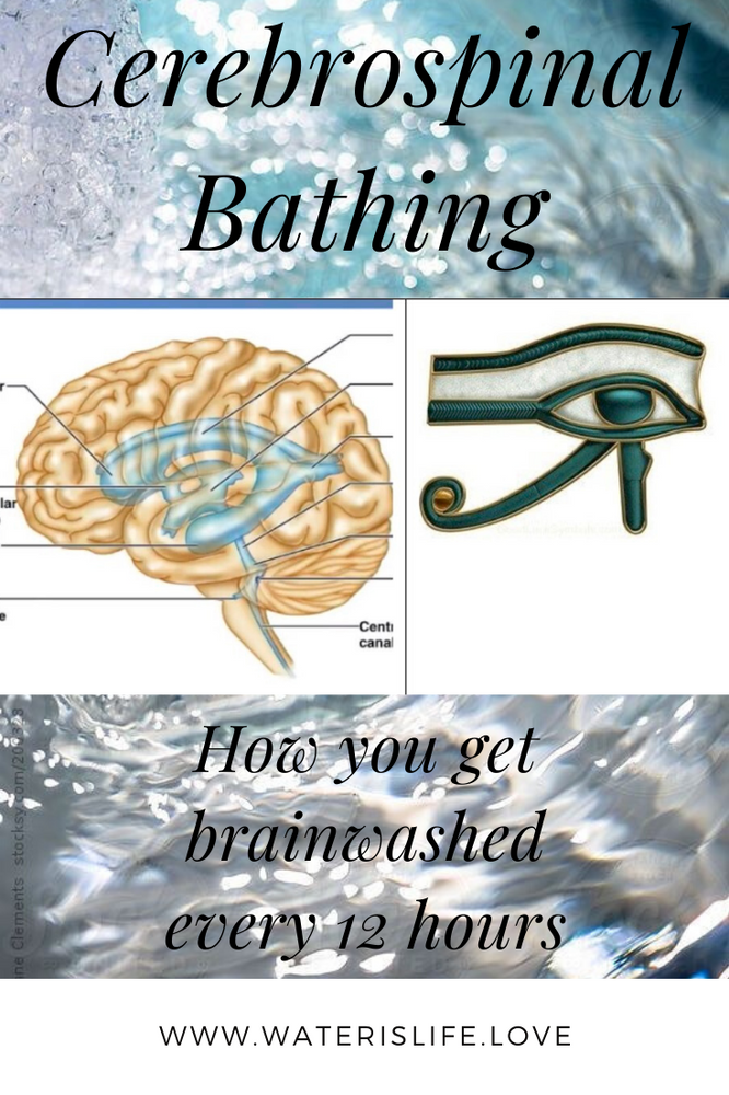 Cerebrospinal Bathing - How You Actually get Brainwashed Every 12 Hours