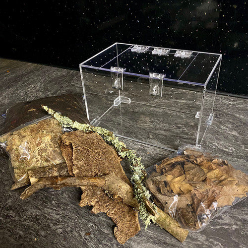 EntoScapes' Critter Keeper Starter Kit + ISOPODS X10 For Sale UK