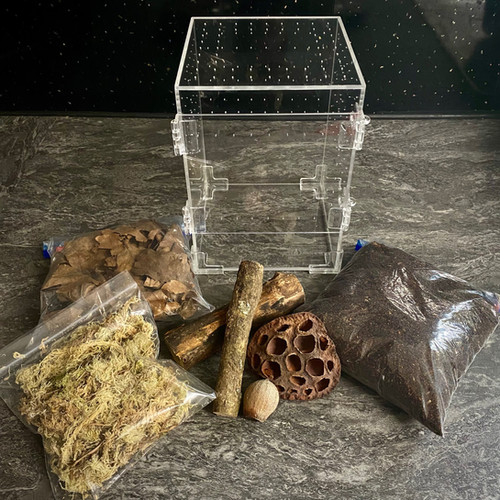 Jumping Spider Starter Kits For Sale - EntoScapes' Enclosures For ...