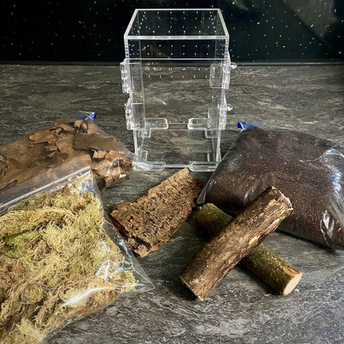 Mantis & Spider Vivarium Starter Kits For Sale - EntoScapes' Extra ...