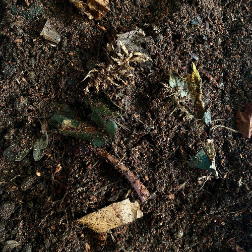 EntoScapes' Rainforest Substrate Mix For Sale UK | EntoScapes ...