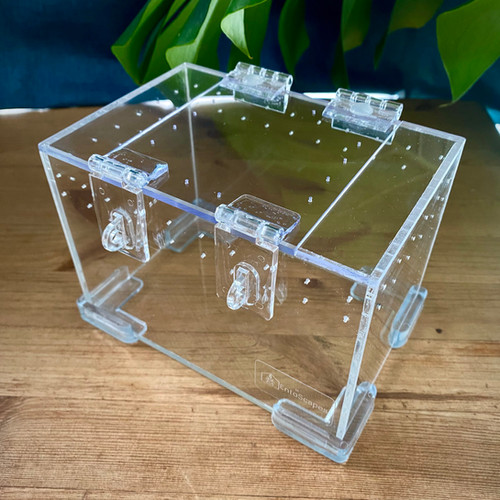 EntoScapes' Mini Critter Keeper -15x10x10cm | EntoScapes