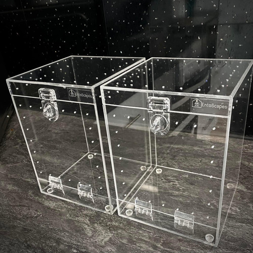 Small Acrylic Viewing Enclosure For Sale UK - Terrarium Vivarium ...