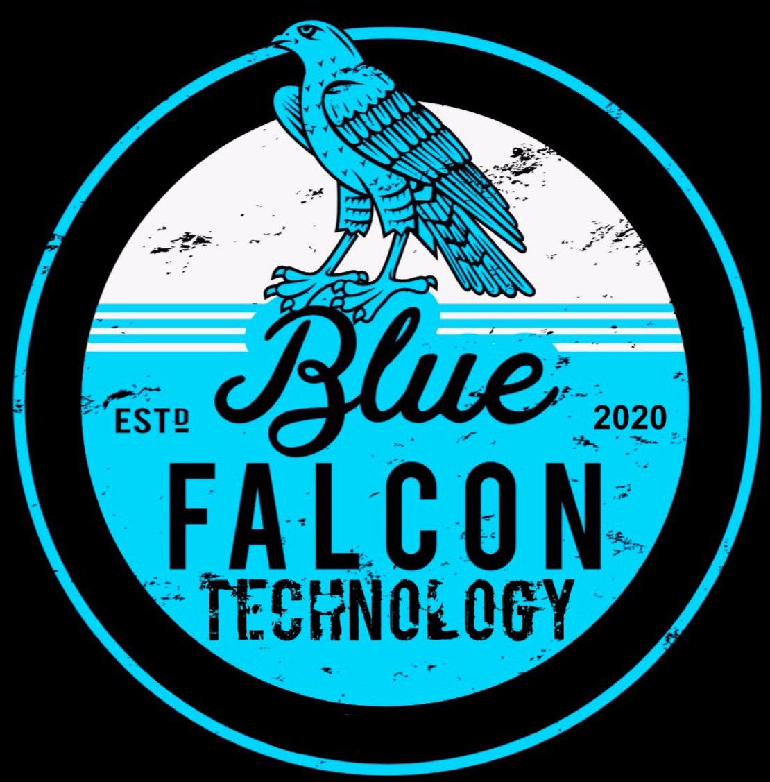 Mobile Mechanic | Blue Falcon Tech | United States