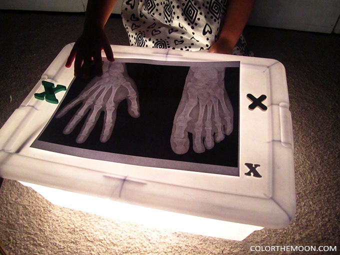X-RAY SENSORY PLAY IDEAS