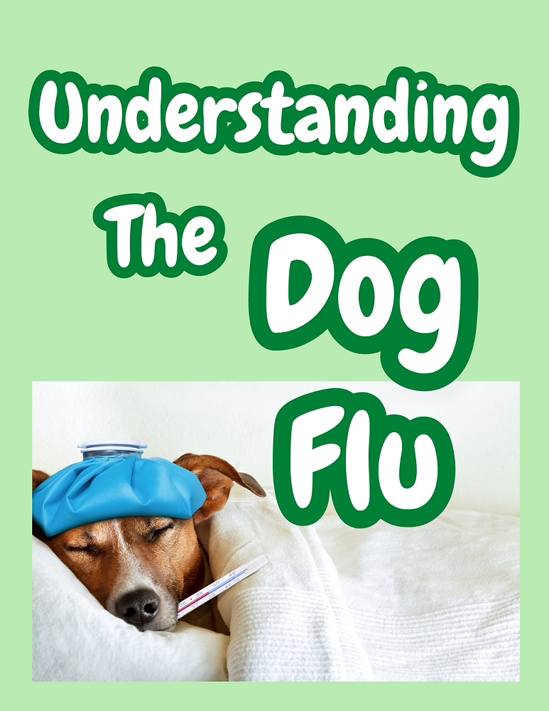 Understanding Dog Influenza: Symptoms, Treatment, and Prevention