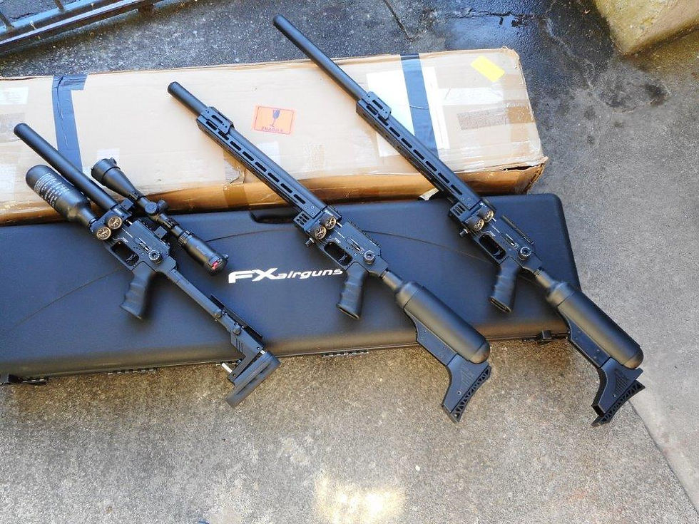 Fx Panthera Hunter And Dynamic 500 Youngs Airgun Center