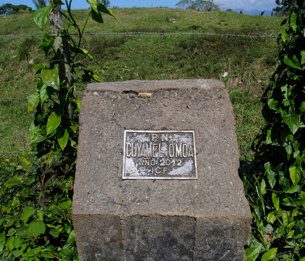 La muerte del Panaco: Un área protegida que nunca fue